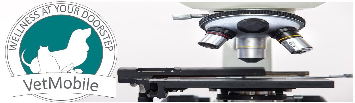 Minor Ailments – VetMobile