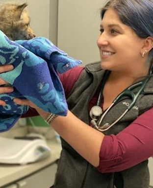 Meet Our Staff – VetMobile