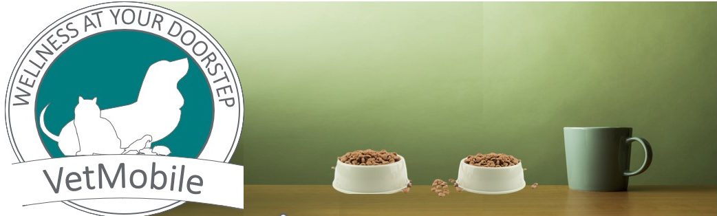 Meet Our Staff – VetMobile