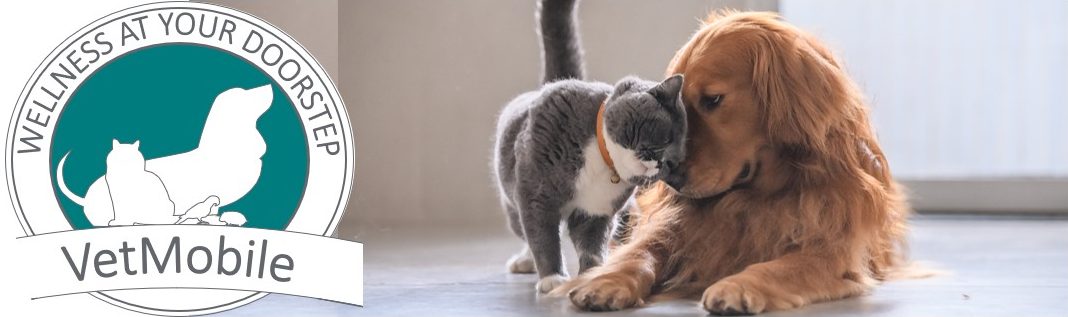 VetMobile – Wellness at Your Doorstep